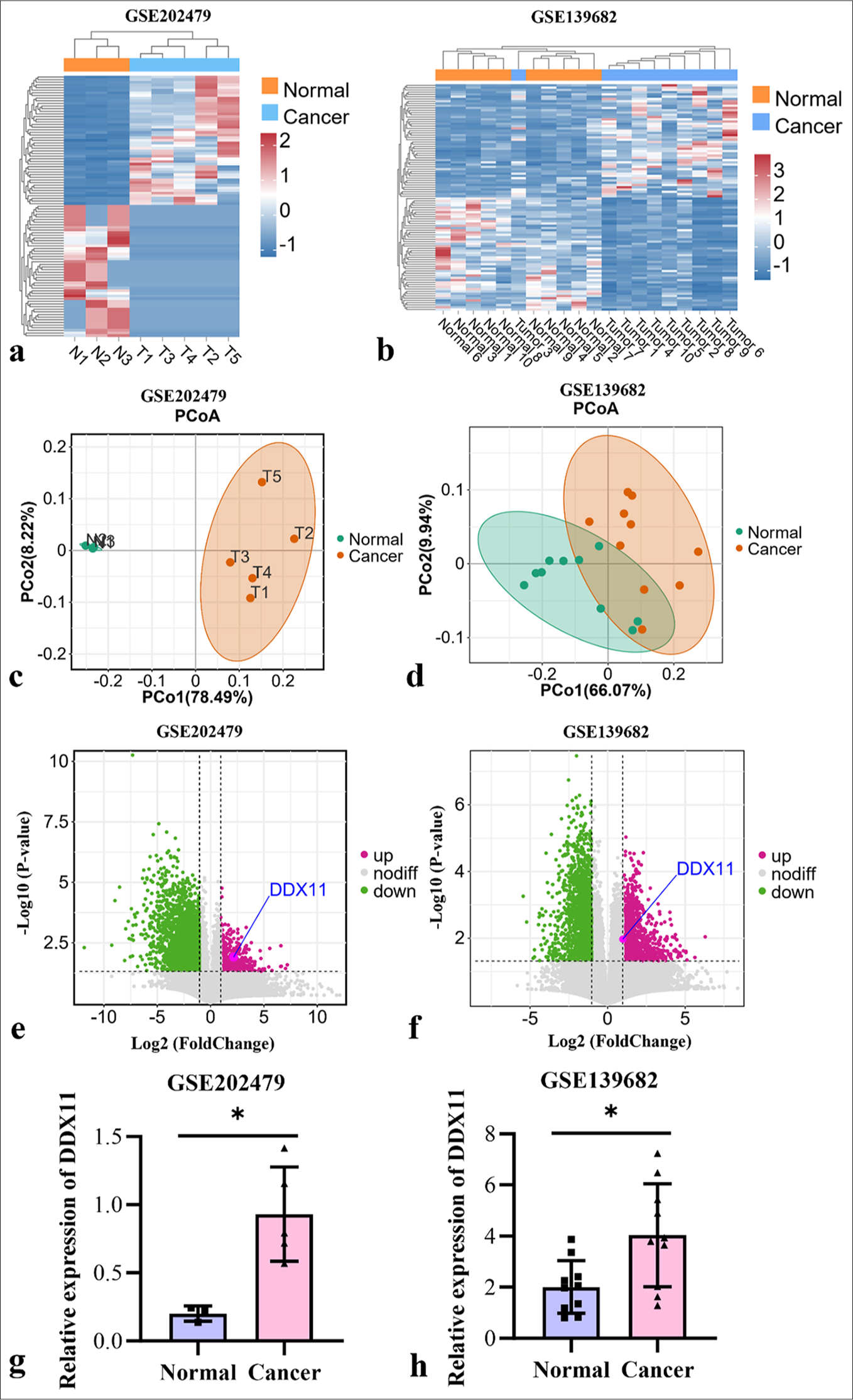 Novel mechanism of tumor metastasis: DDX11–ATAD5 interaction mediates ...